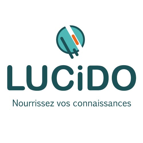 Formation Formations | Lucido Formation Informatique
